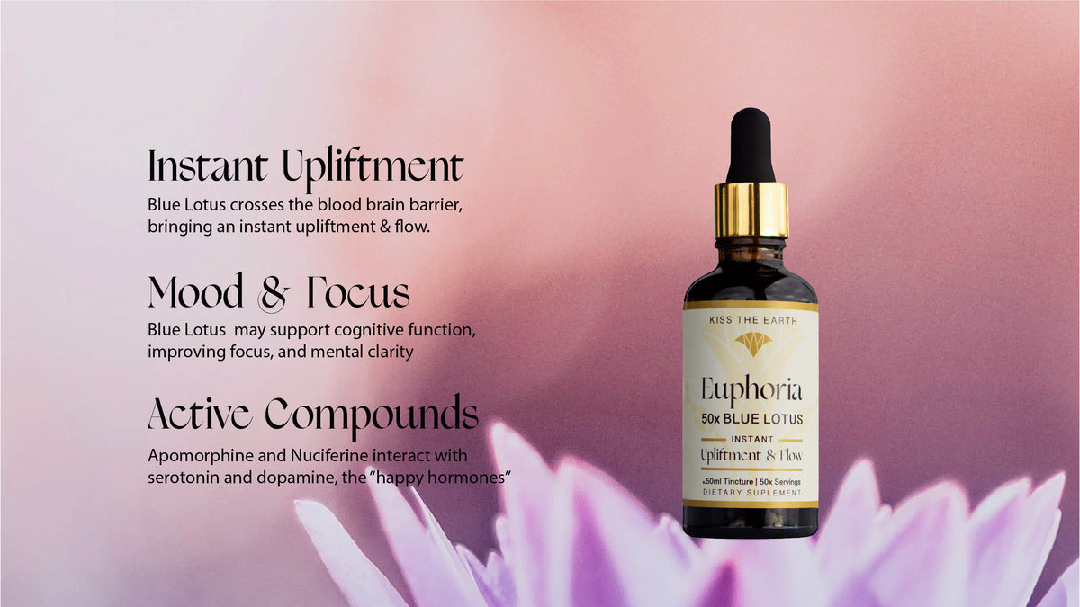 Euphoria - 50x Blue Lotus Tincture | Kisstheearth